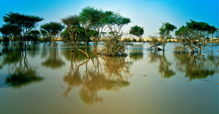 Visit These 5 Natural Wonders of Qatar · Qatar OFW